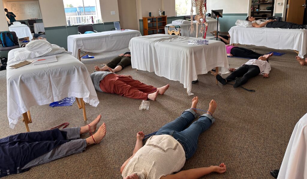 Rolf Instituteで開催されたRolf Movement認定ワークショップ報告 | 空間身体学研究所 田畑ロルフィング研究室